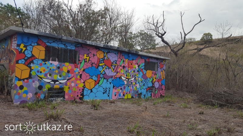 Découverte du Bassin Cormoran - Sort' out kaz