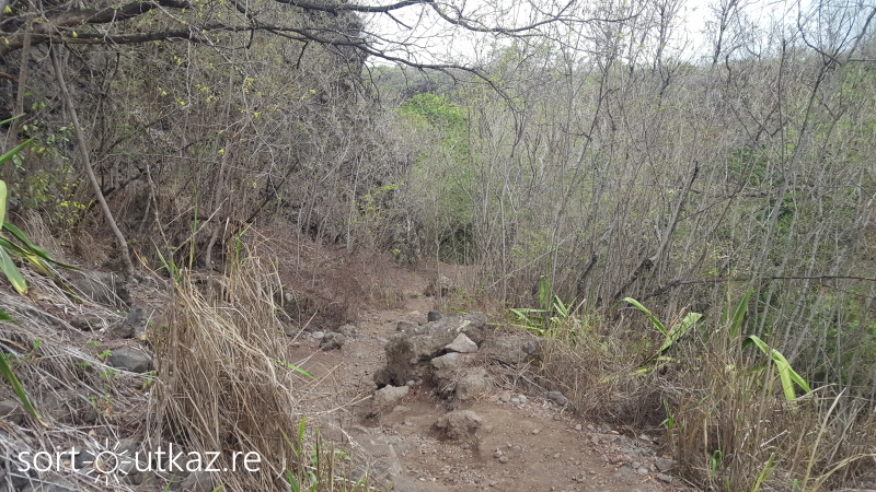 Découverte du Bassin Cormoran - Sort' out kaz