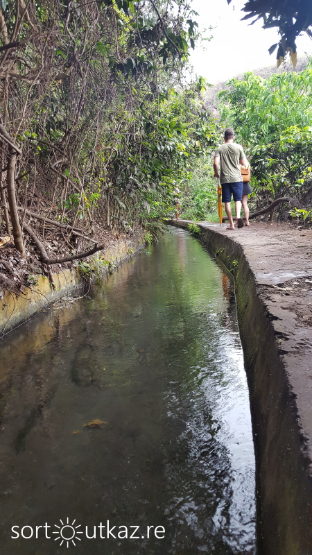 Découverte du Bassin Cormoran - Sort' out kaz